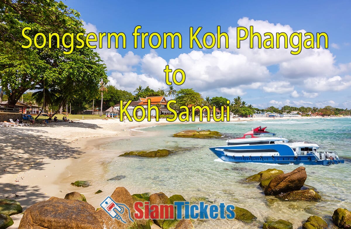 Songserm Ferry Koh Phangan to Koh Samui: Booking