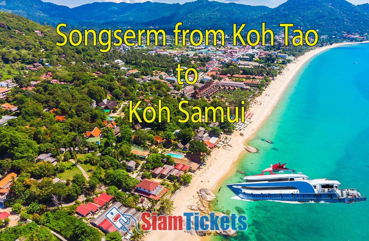 Songserm Ferry: Koh Tao to Koh Samui Ferry Prices & Schedules